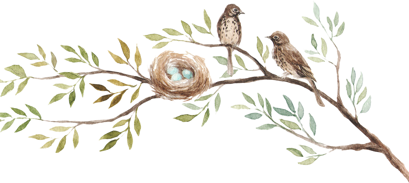 Families - TransitionWay Compassionate Embrace, PLLC